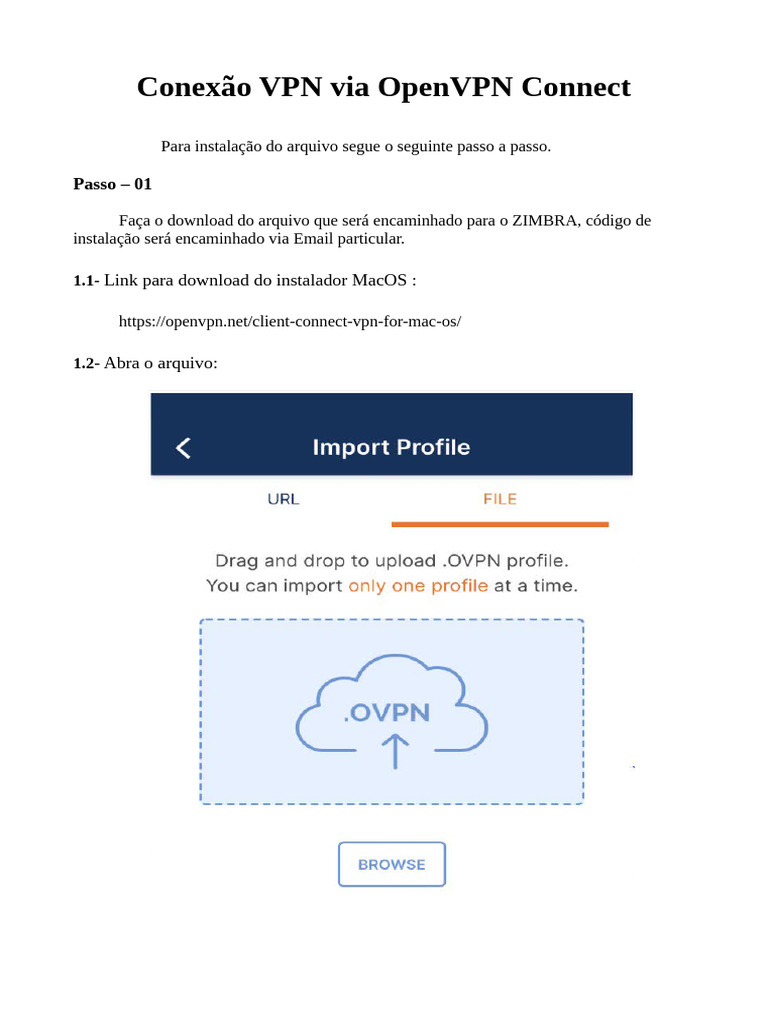 Tutorial_VPN_MacOS | PDF