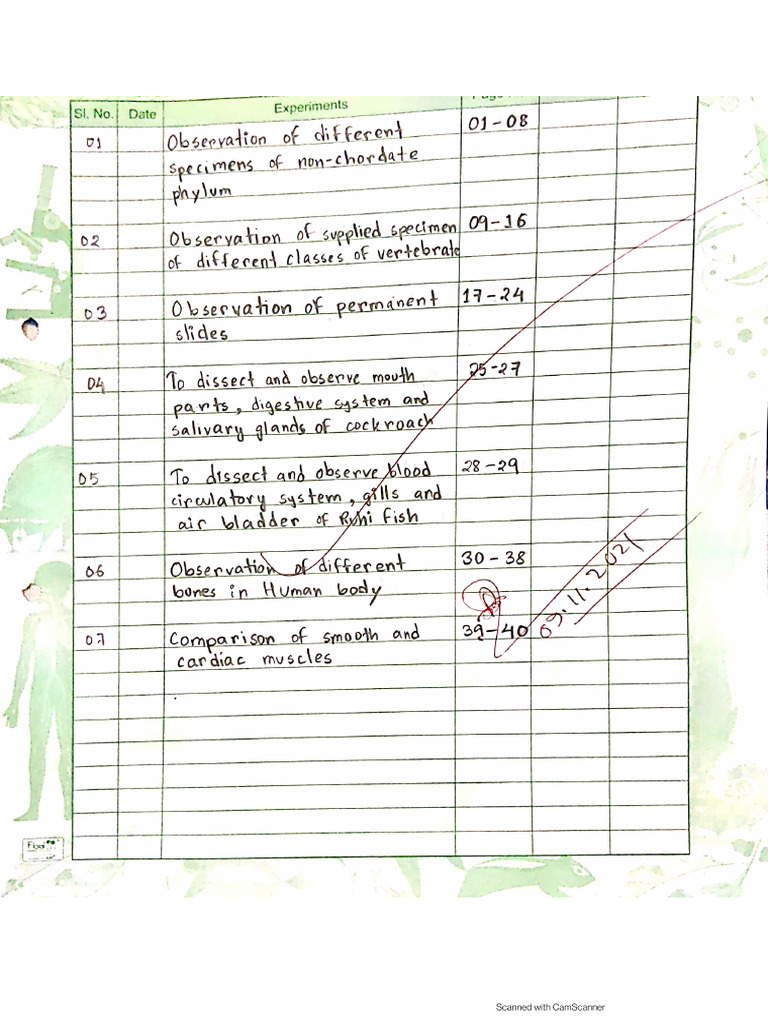 Zoology Practical | PDF