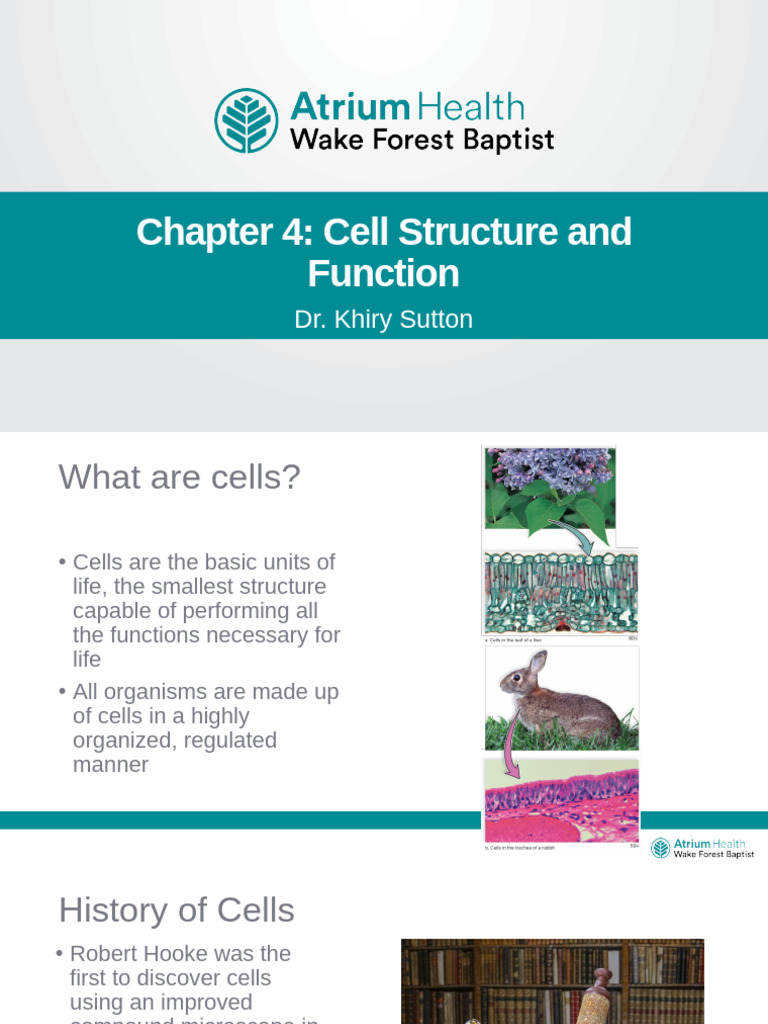 Bio 101 Chapter 4 Cell Structure and Function | PDF | Cell (Biology) | Endoplasmic Reticulum