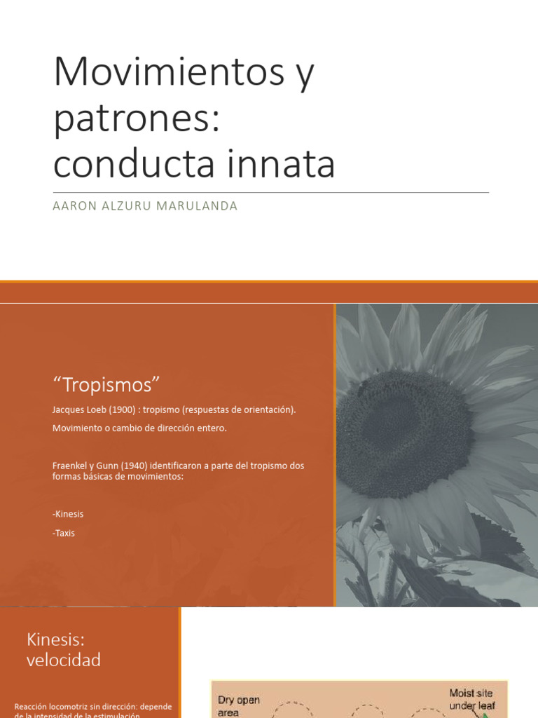 2._Movimientos_y_patrones_conducta_innata (1) | PDF | Comportamiento ...