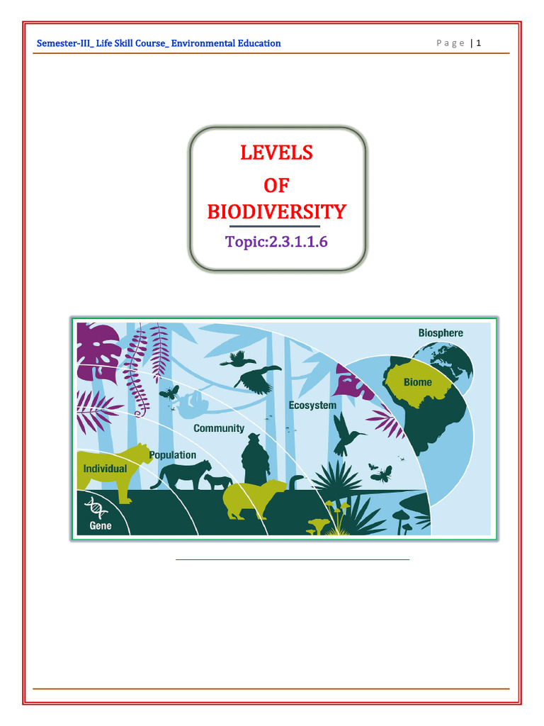 Understanding Levels of Biodiversity | PDF | Biodiversity | Ecosystem
