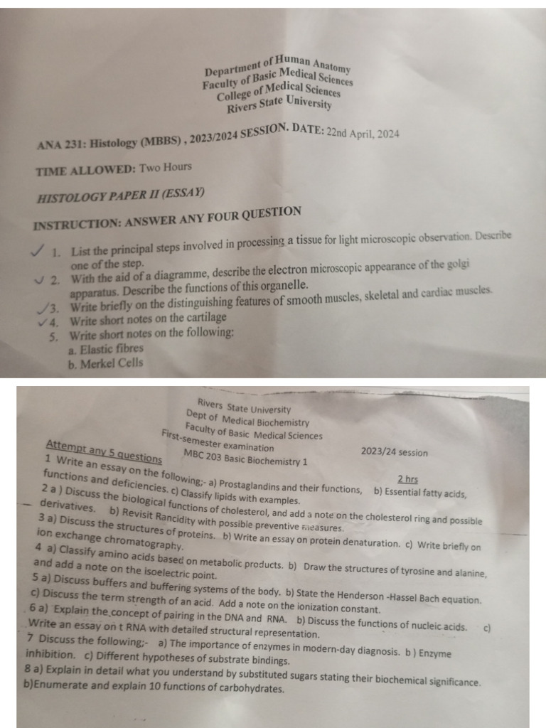 yr2 past questions 2024 | PDF