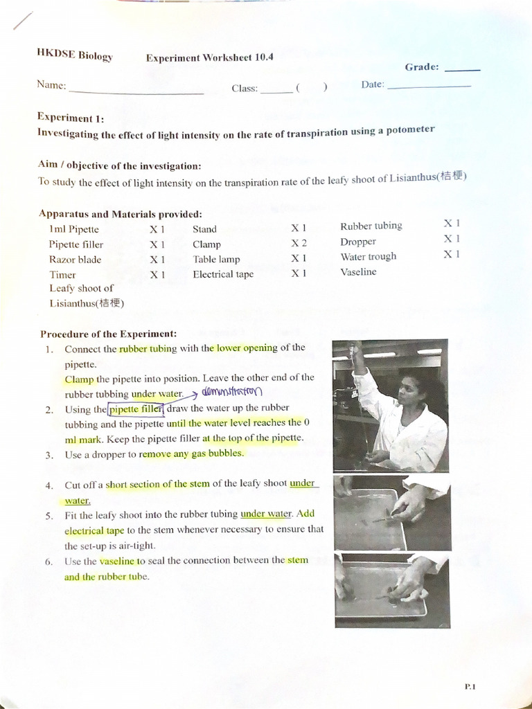 Biology Chapter 10 Exp WS 1 | PDF