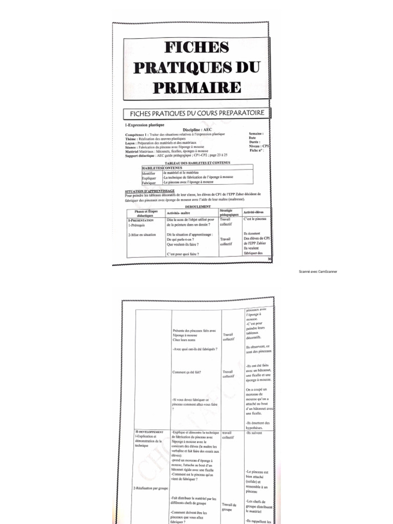 Fiches AEC Primaire - Copie | PDF