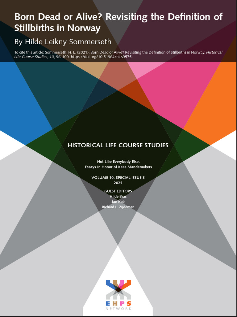 2021_Sommerseth | PDF | Human Pregnancy | Maternal Health