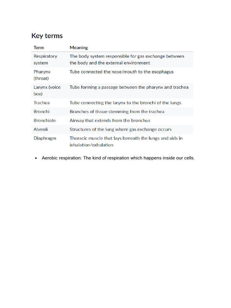 Human Respiratory System (Notes) | PDF | Breathing | Lung