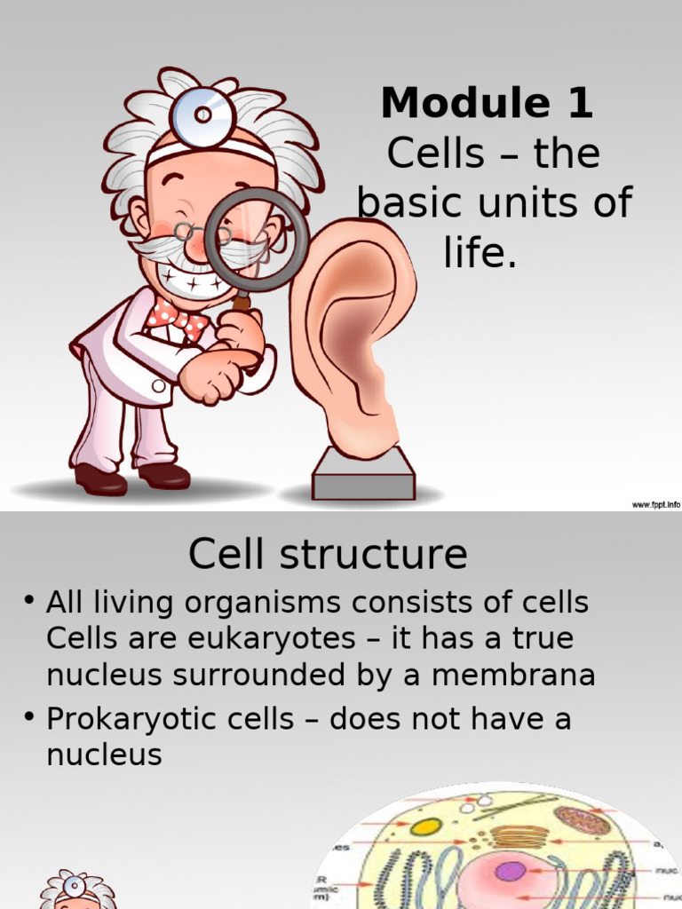 Unit 1 Cells As The Basic Units of Ife. | PDF