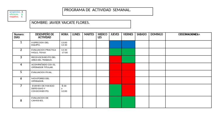 Programa de Actividad Semanal Febrero | PDF