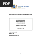 Grade 10 CAT Term 1 Revision Guide | PDF | Computer File | Icon (Computing)