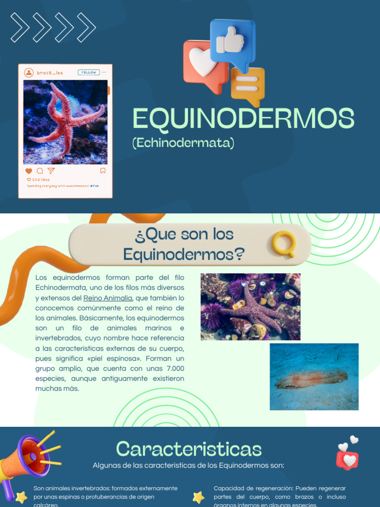 EQUINODERMOS | PDF | Zoología | Biología