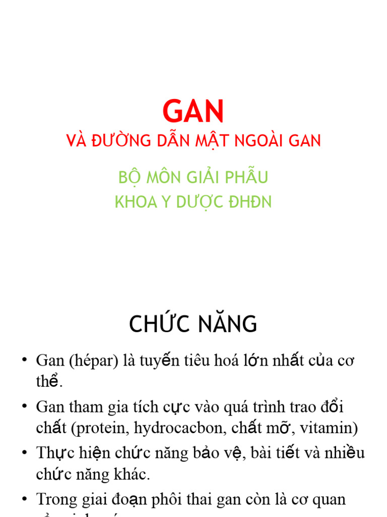 GAN PDF 4 | PDF