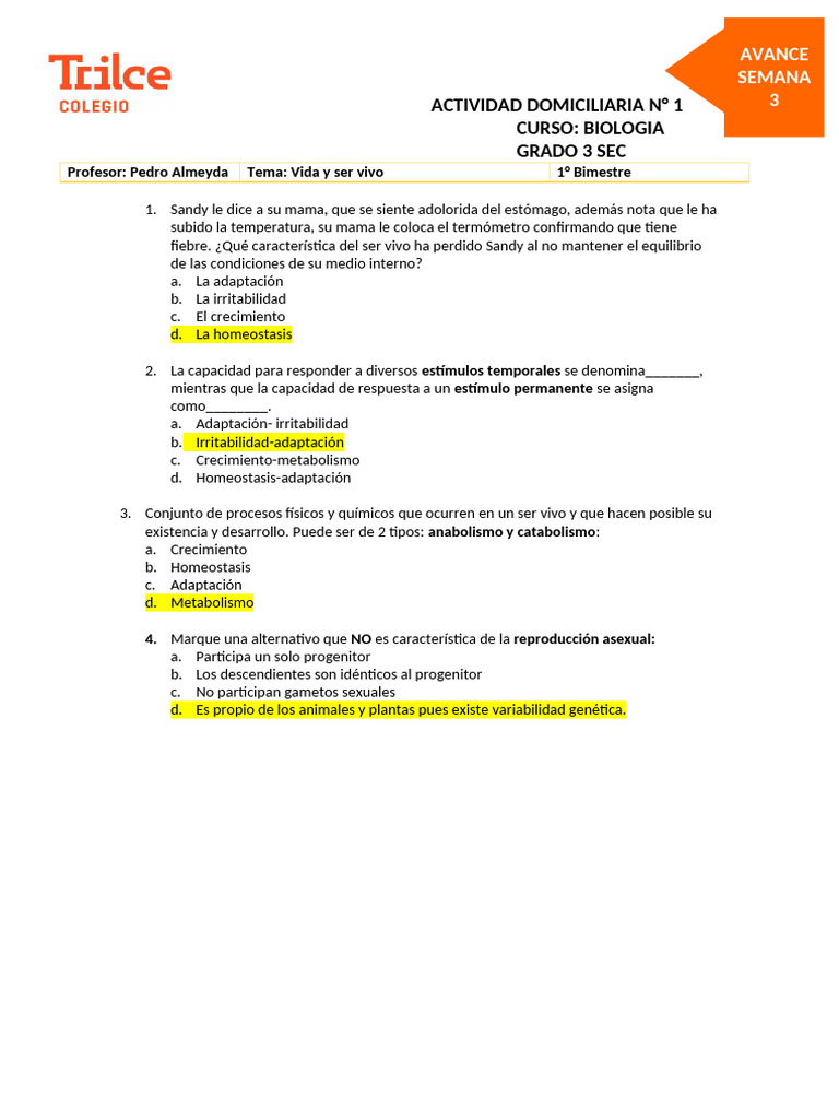 Actividad Domiciliaria N3 | PDF