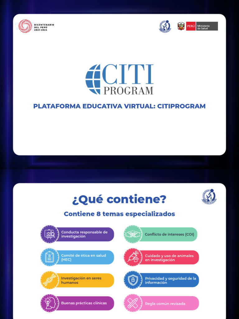 Instructivo Citiprogram v2 | PDF | Informática
