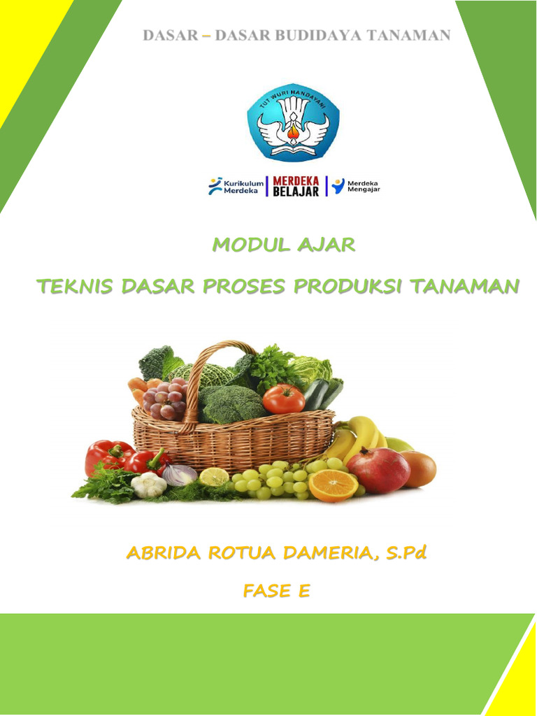 Modul Ajar Dasar-Dasar Agribisnis Tanaman - Teknis Dasar Proses Produksi Tanaman - Fase E ...