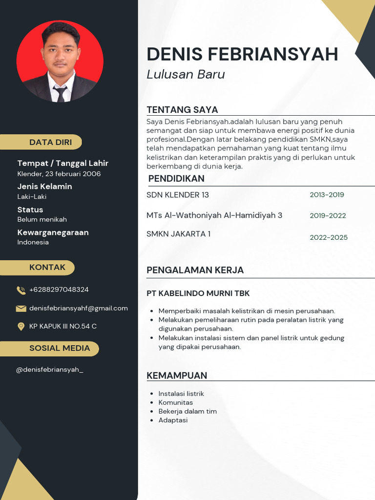 Denis Febriansyah - CV Lamaran 2025 PDF | PDF