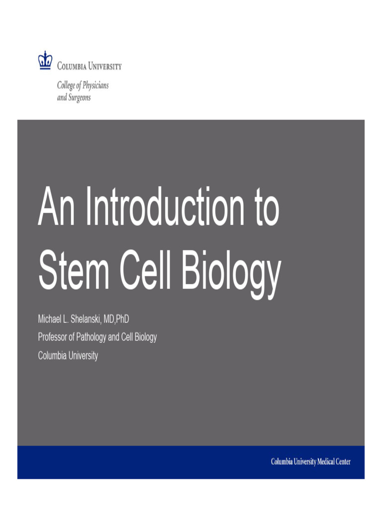 3.stem Cell Day1 Part2 Shelanski | PDF | Embryonic Stem Cell | Stem Cell