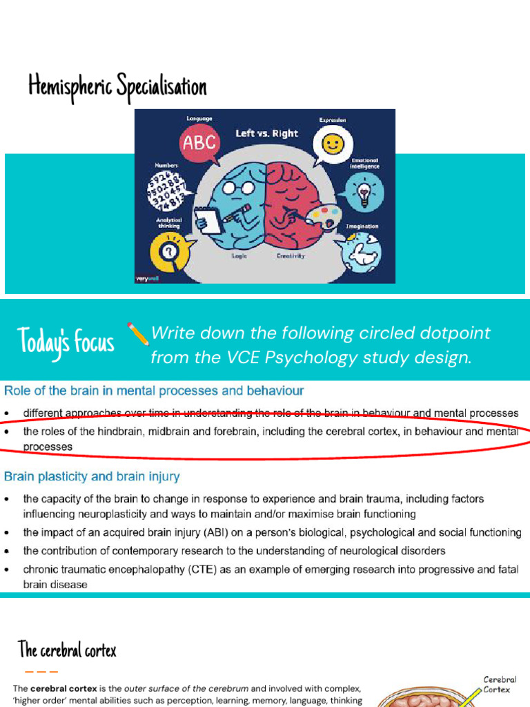 Understanding Hemispheric Specialization | PDF | Cerebral Hemisphere ...