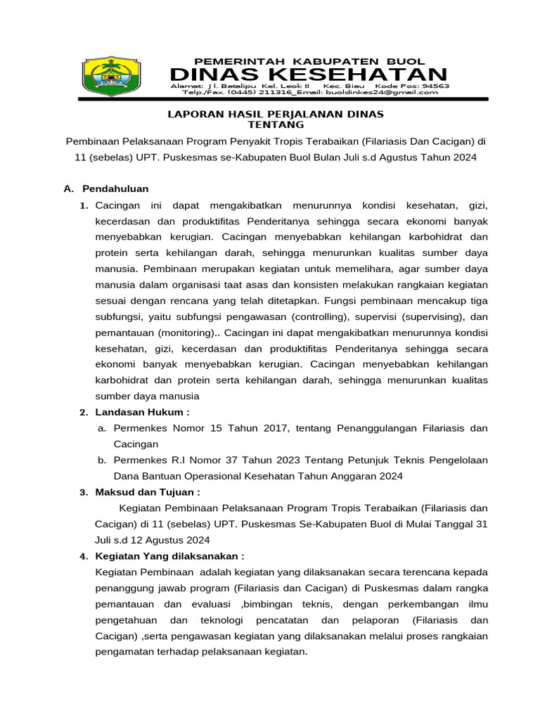 Contoh Laporan Perjadin Per Orang | PDF