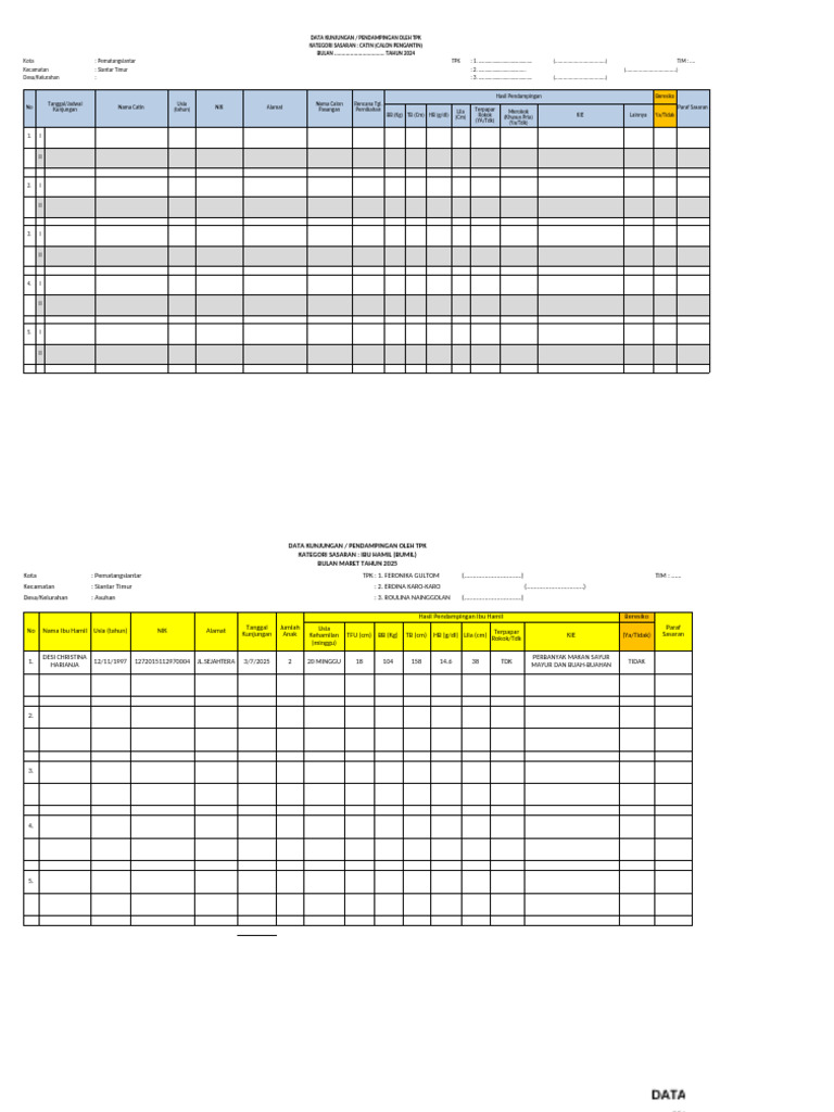 Form Hasil Pendampingan TPK (Per Bulan) | PDF