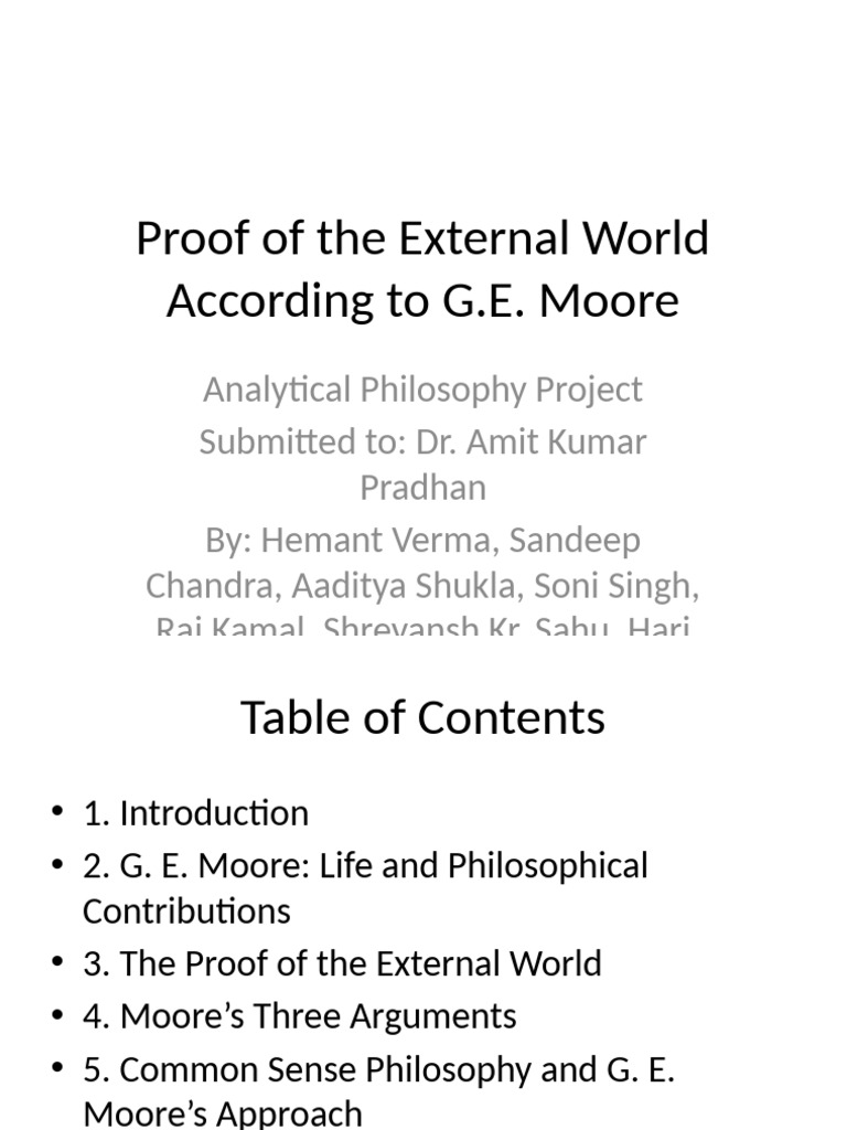Analytical Philosophy Project | PDF