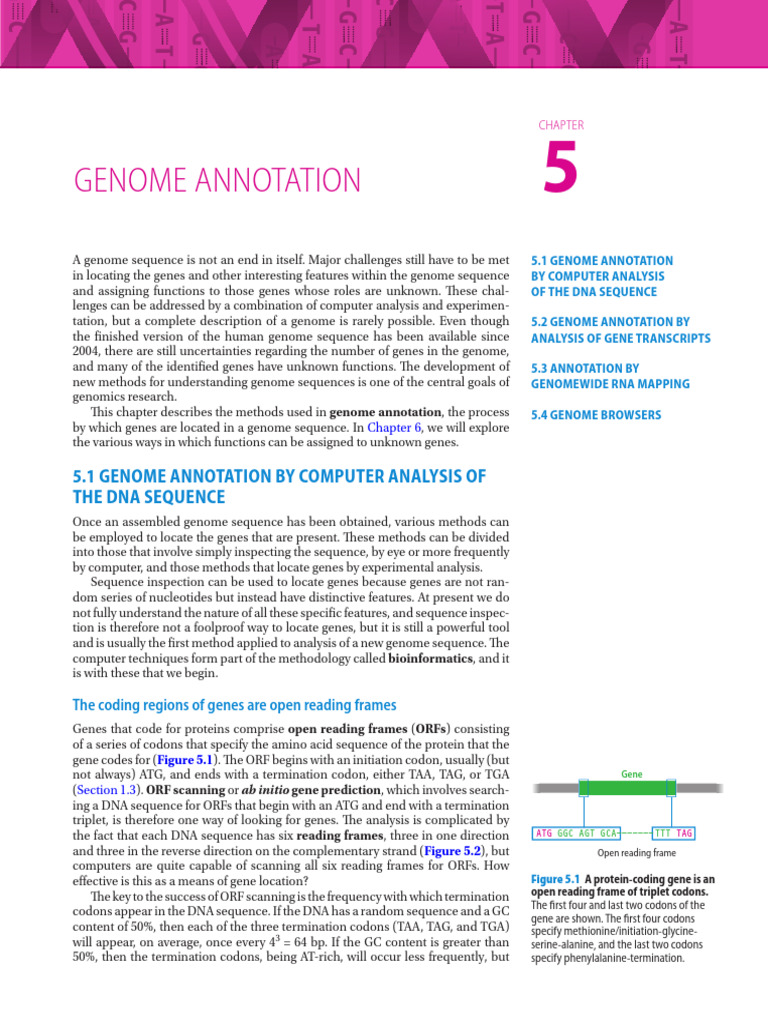 Genomes 4 (C-5, Genome Annotation) | PDF | Open Reading Frame | Northern Blot