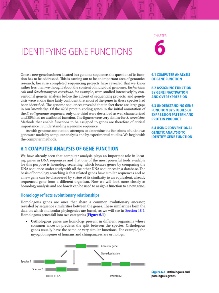 Genomes 4 (C-6, IdentIfyIng Gene FunctIons) | PDF | Gene | Nucleic Acid Sequence