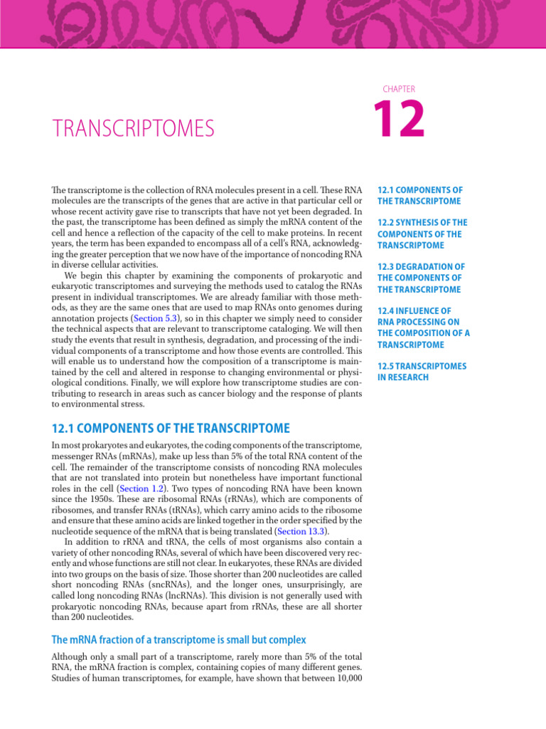 Genomes 4 (C-12, Transcriptomes) | PDF | Rna | Transcriptome