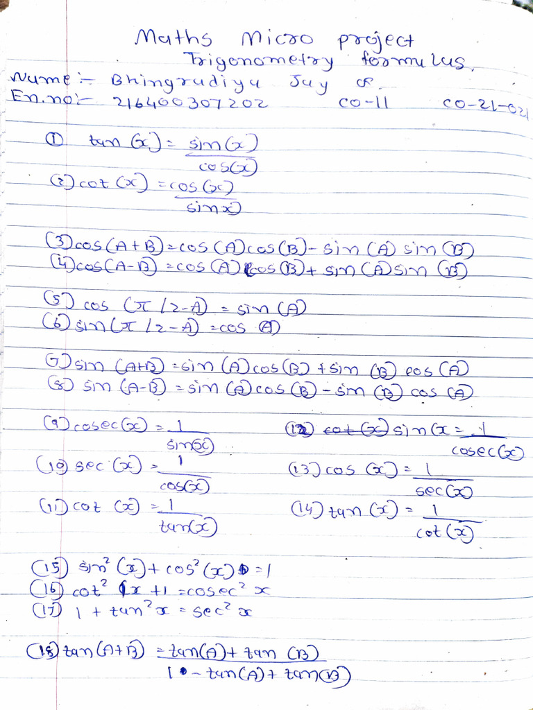 216400307202_micro project_maths_Bhingradiya Jay | PDF