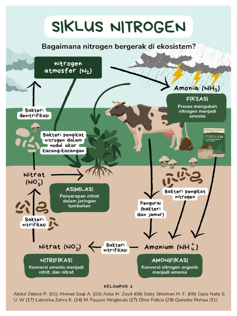 Hasil Laporan Siklus Nitrogen_Kelompok 1 | PDF
