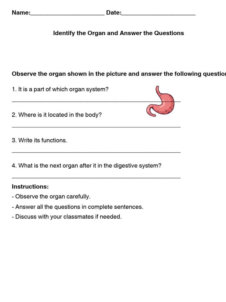 Stomach Worksheet - PDF 20250222 150758 0000 | PDF