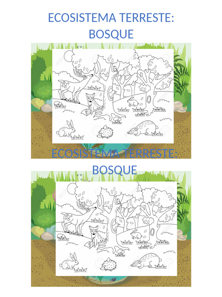 Clase Ecosistemas Terrestres | PDF