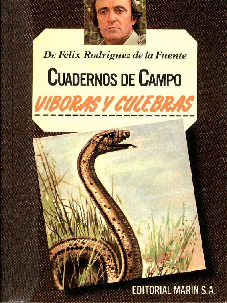 Cuadernos de Campo. Víboras y Culebras. Félix Rodríguez de La Fuente | PDF