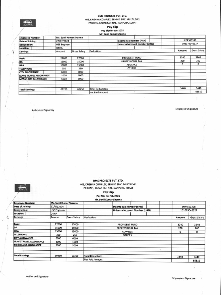 Salary Slip Jan2025 | PDF