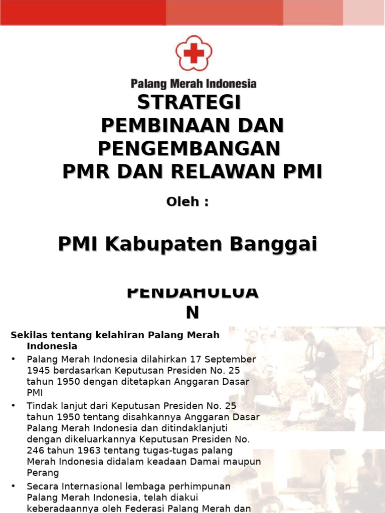 Rencana Strategis PMR Dan Relawan 2010 | PDF
