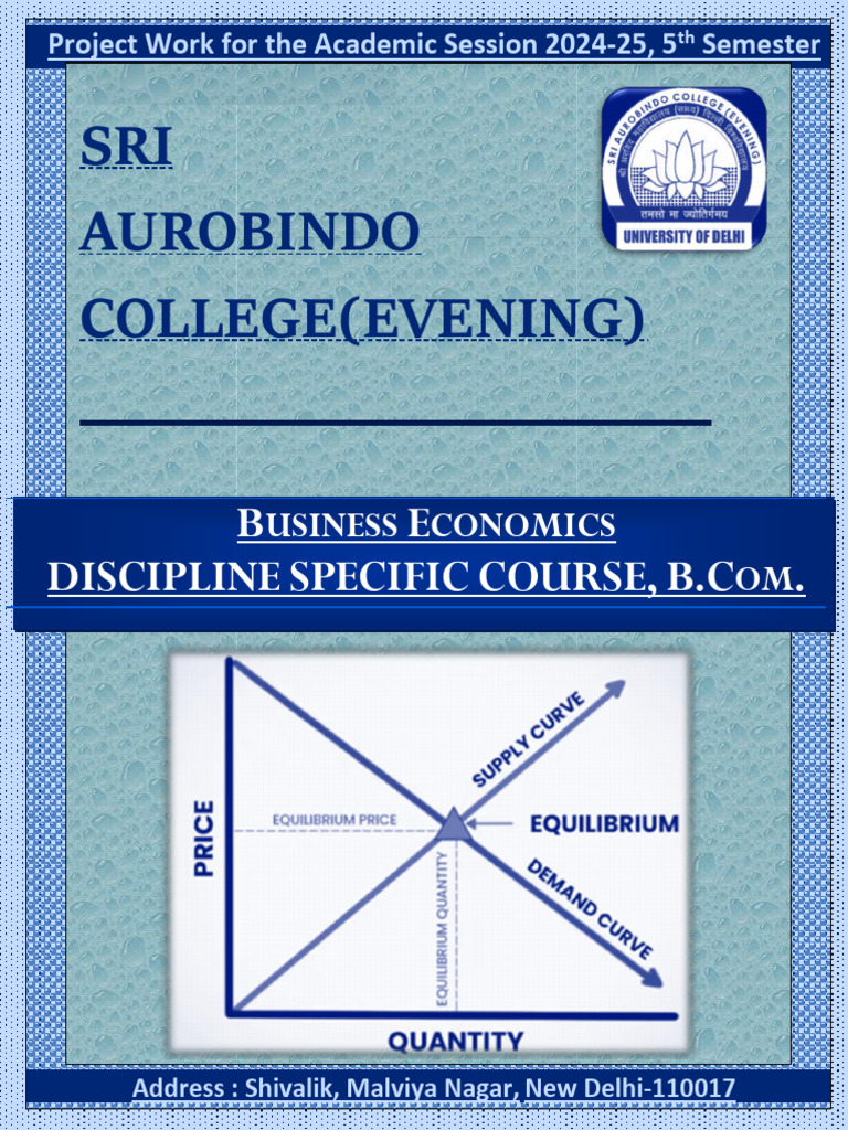Business Economics Project Guidelines 2024 | PDF | Economics | Monopoly