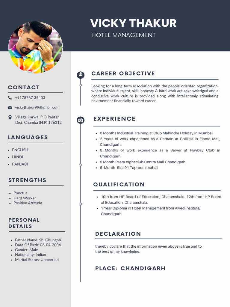 Blue and Gray Simple Professional CV Resume | PDF