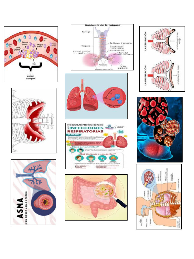 Untitled Document | PDF