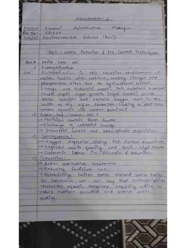 EVS Assignment 2 | PDF