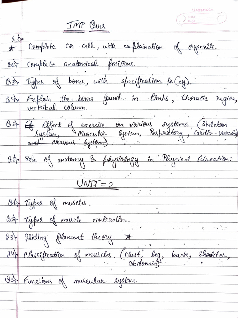 Imp Ques of Anatomy | PDF