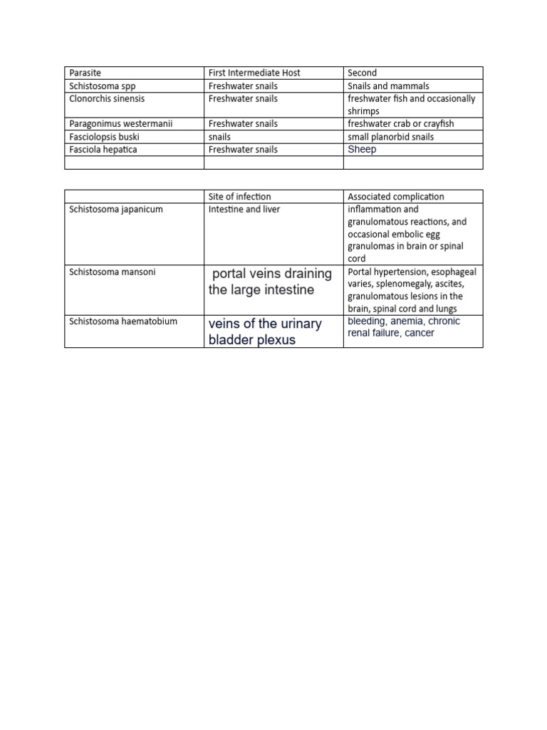 Experiment for Chapter 5D | PDF