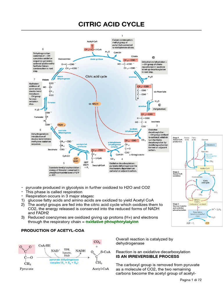 Biochemistry | PDF | Diet & Nutrition | Chemistry