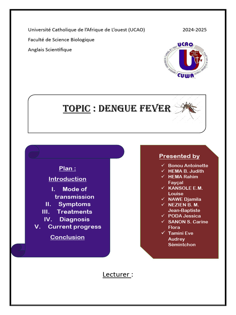 DENGUE FEVER Presentation -2 Vocab Biblio | PDF | Medical Specialties ...