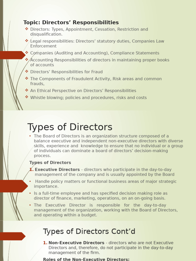 Directors' Responsibilities Overview | PDF | Audit | Accounting