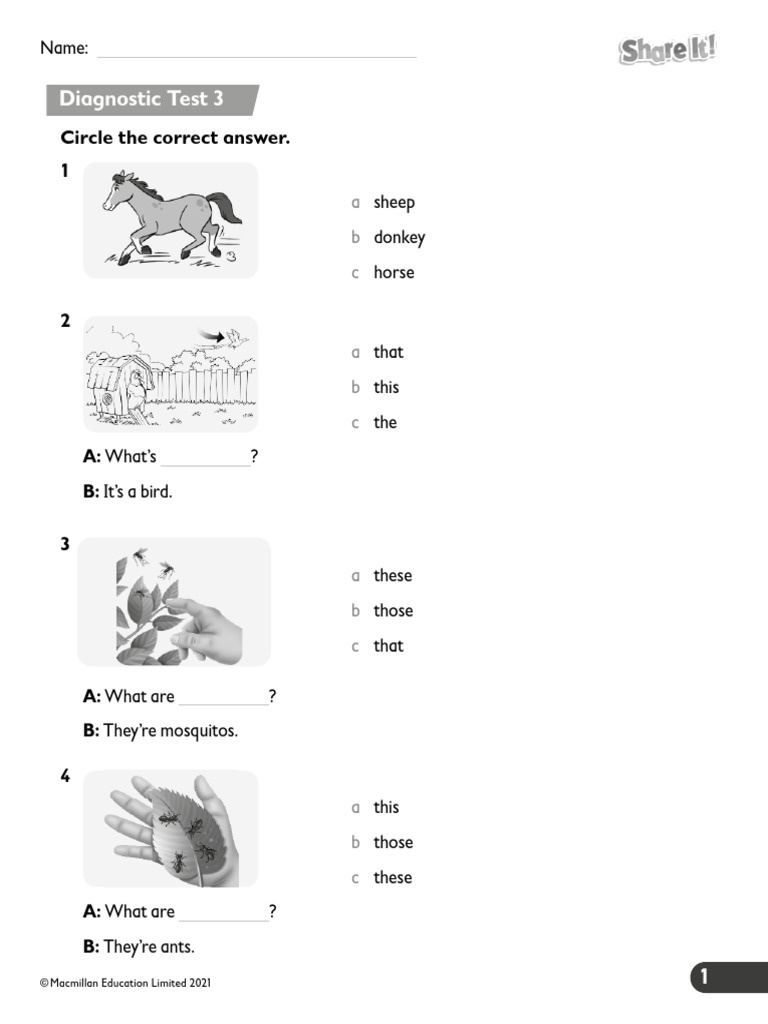 SI TRC3 Diagnostic Test | PDF