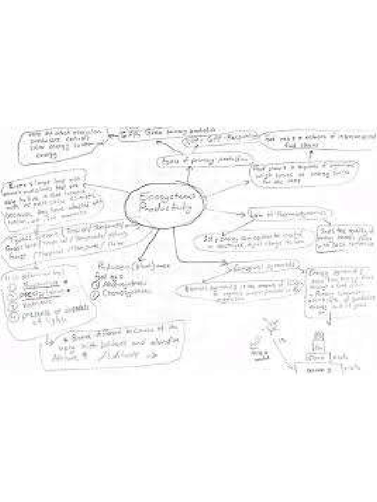 Mindmap CH 1 SST Class 10TH | PDF