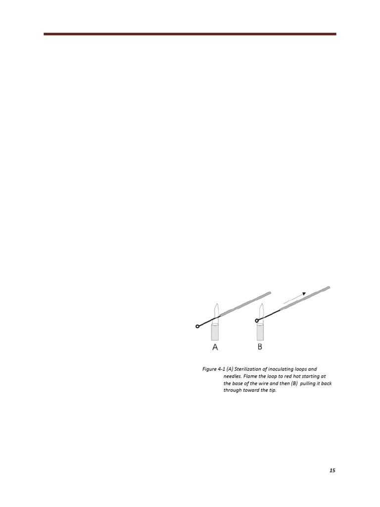 206 Lab Ex - 4 - Sterile Technique | PDF | Sterilization (Microbiology) | Disinfectant