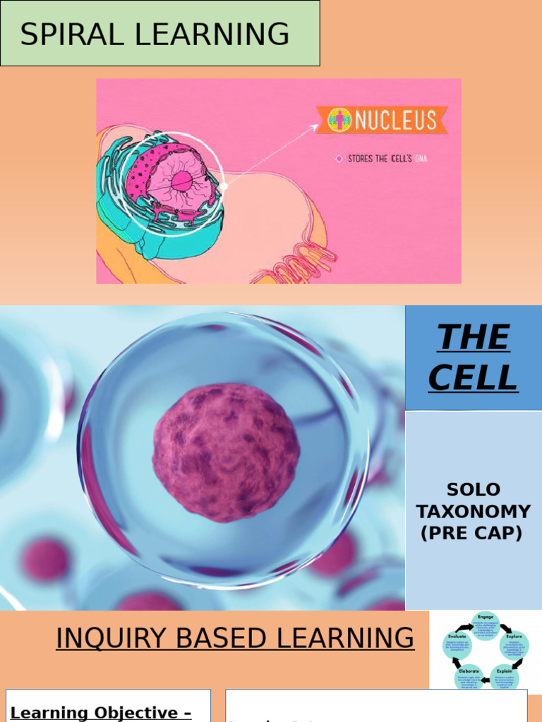 Cell Organelles - Explanation | PDF | Endoplasmic Reticulum | Mitochondrion