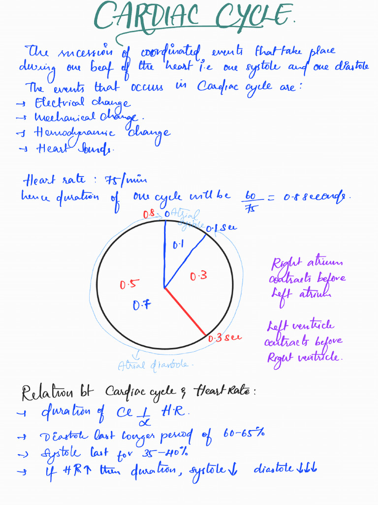 Cardiac Cycle - 231023 - 213514 | PDF