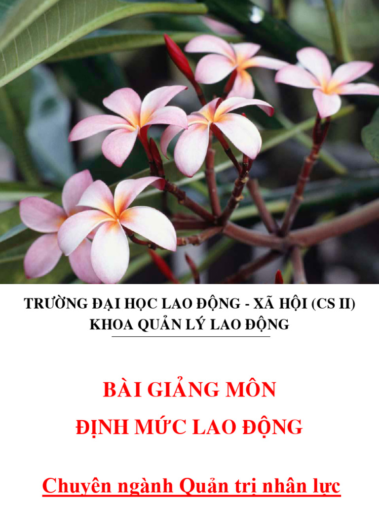 Chuong I - Doi Tuong, Noi Dung Va VI Tri Mon DMLD | PDF