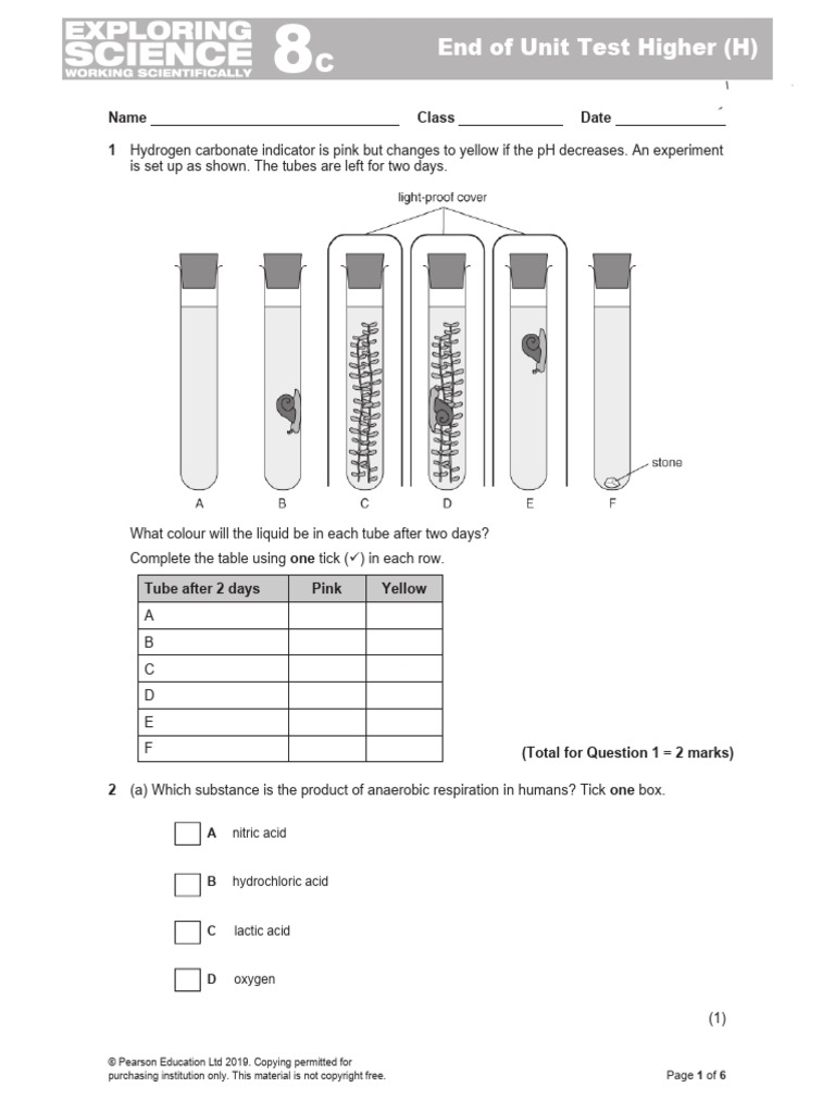Breathing and Respiration Practice Paper Questions (H) | PDF | Acid ...